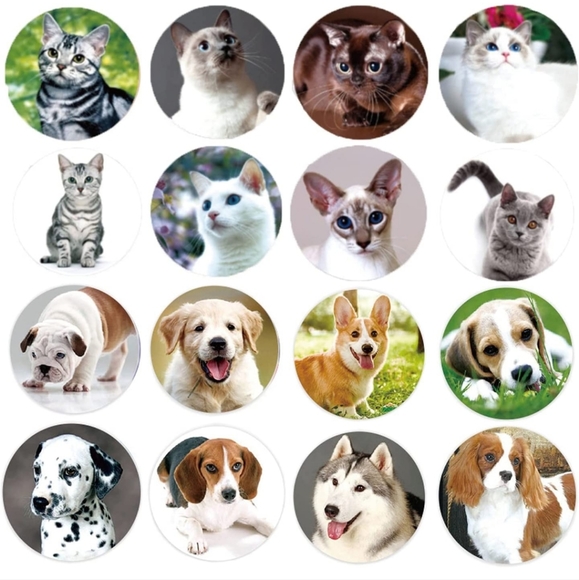 Dog | Dog Cat Stickers 50 Roll 1 You Choose Cat Or Dog Thank You ...